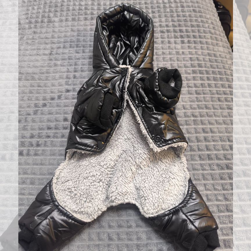 Одежда для собак