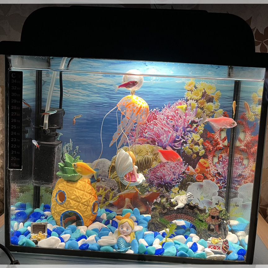 Аквариум с рыбками