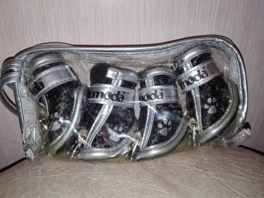 Кроссовки для маленькой собачки