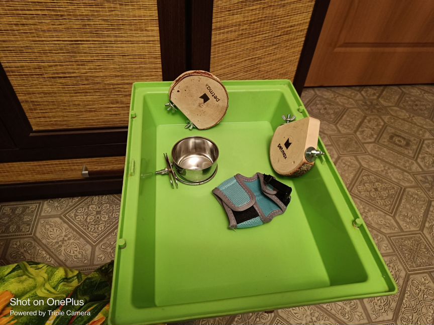 Аксессуары для грызунов