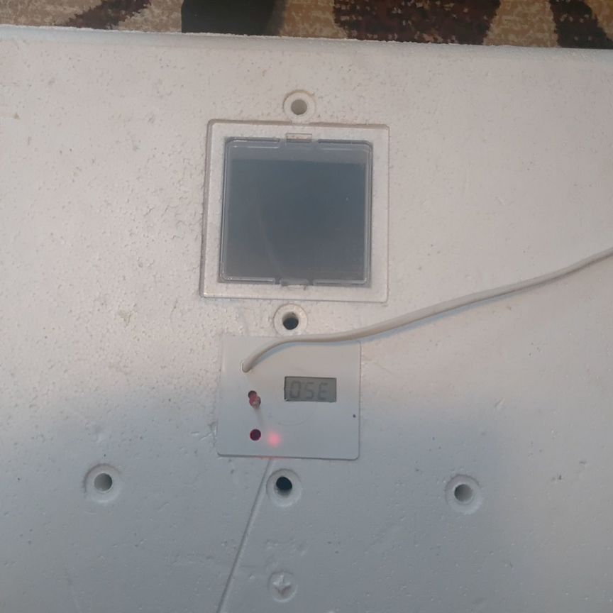 Инкубатор для яиц