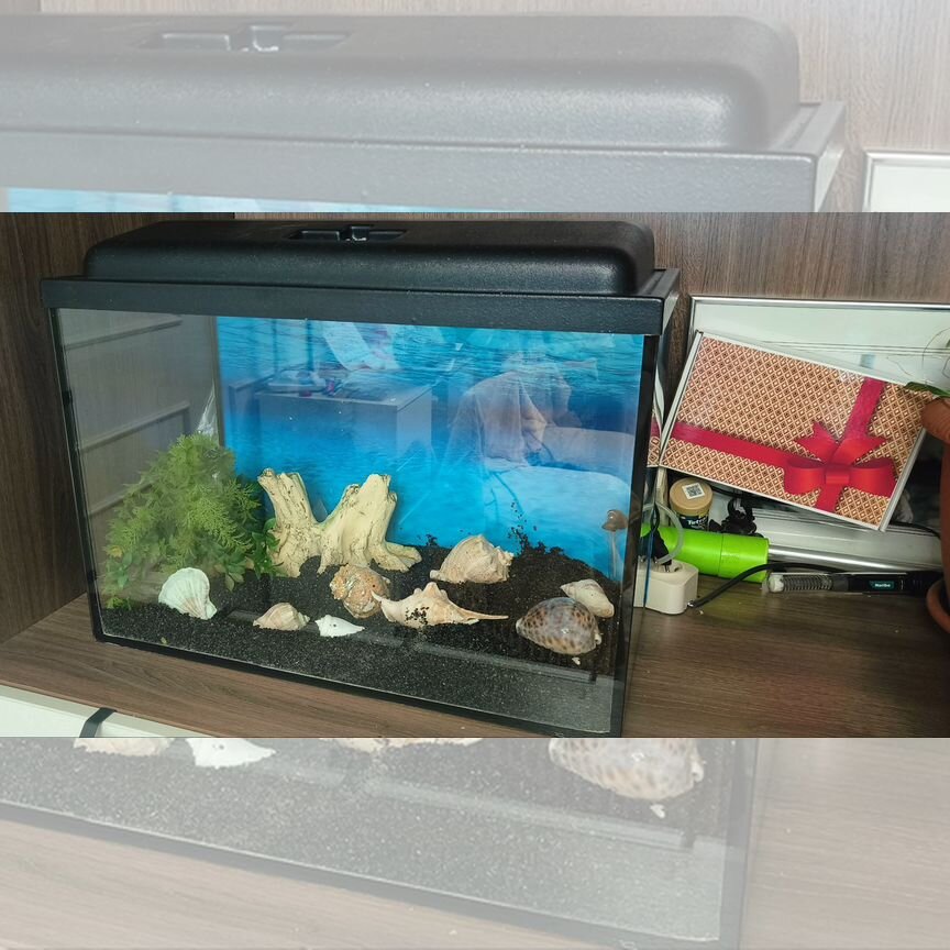 Аквариум 40/50/25