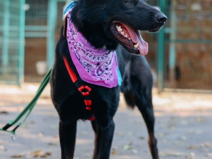 Обалденный мальчик в семью