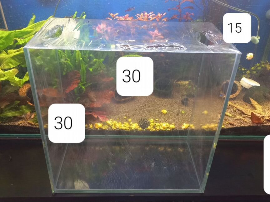 Аквариум и декор