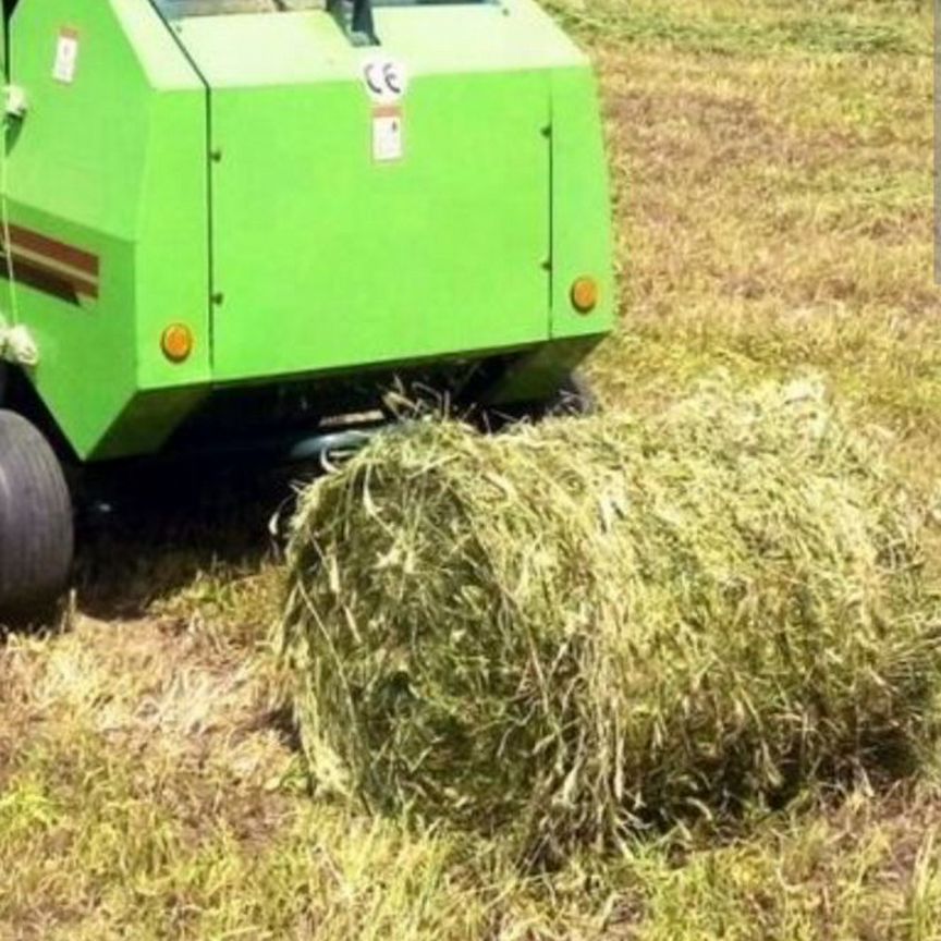 Продам сено в рулонах
