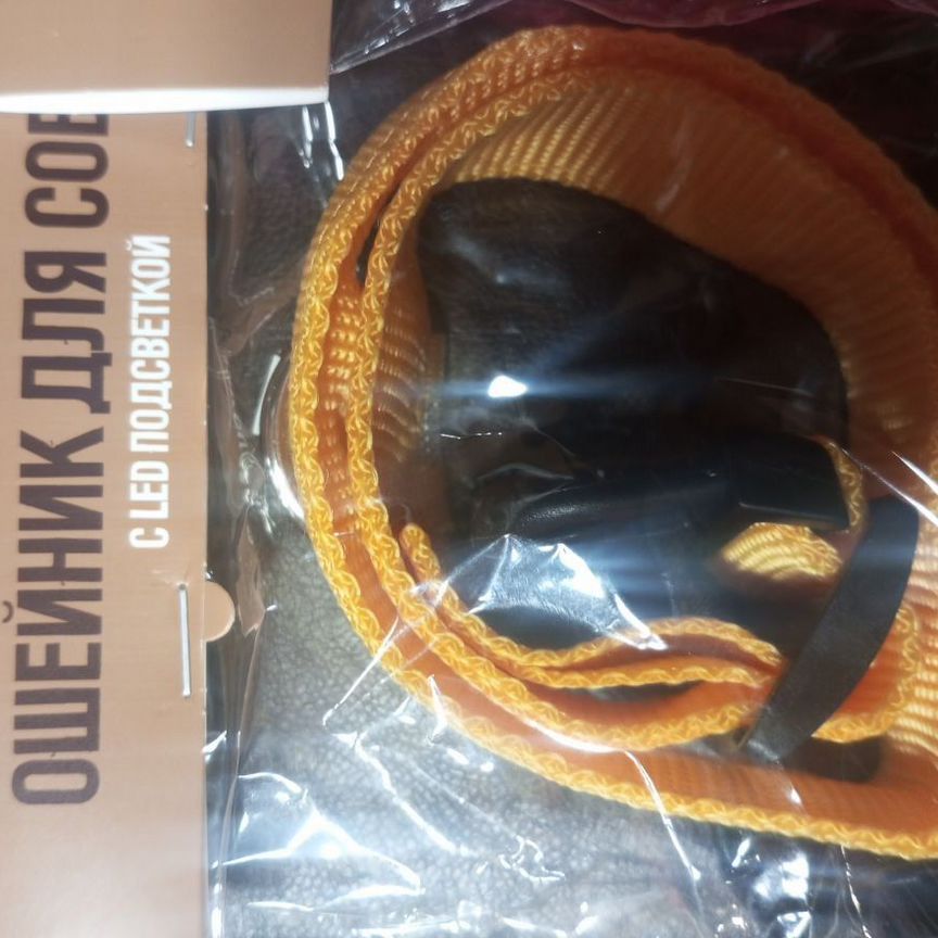 Ошейник для собак светится