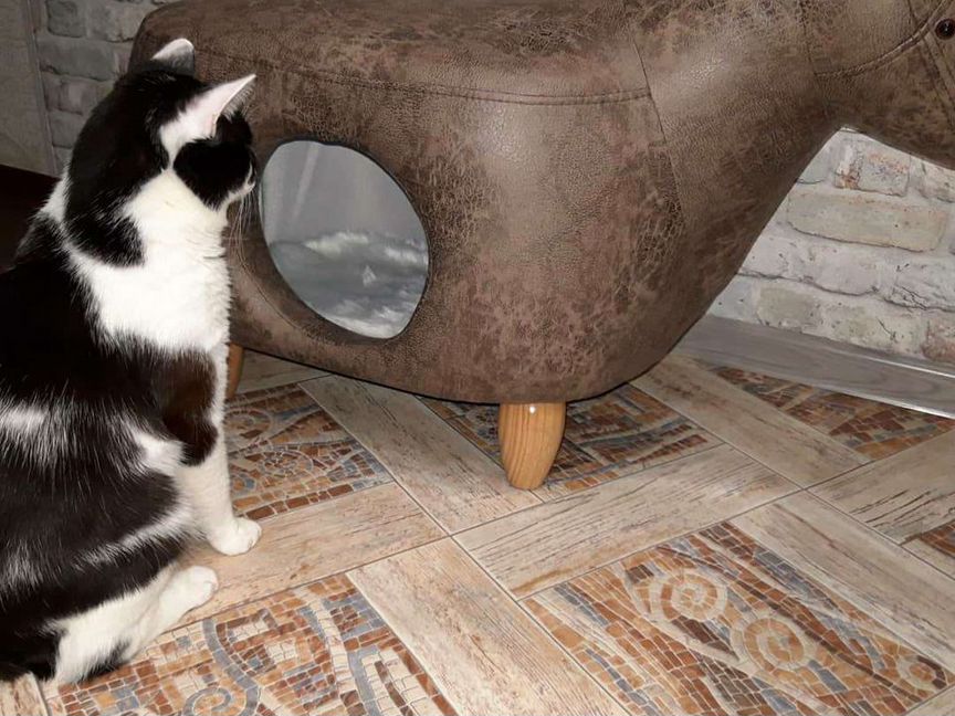 Домик для кошки