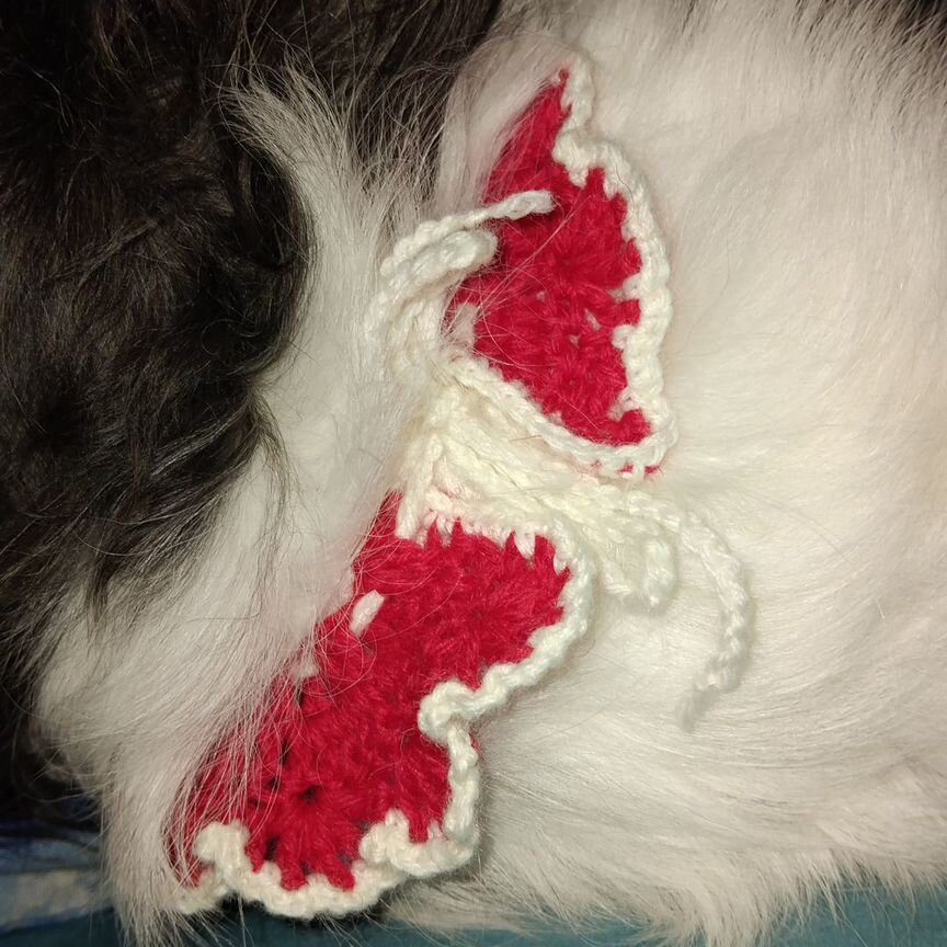 Вязаные воротнички на Новый год для ваших питомцев