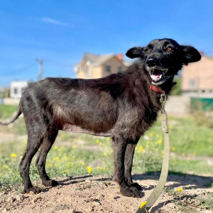 Милой малышке Элечке, нужен дом и забота