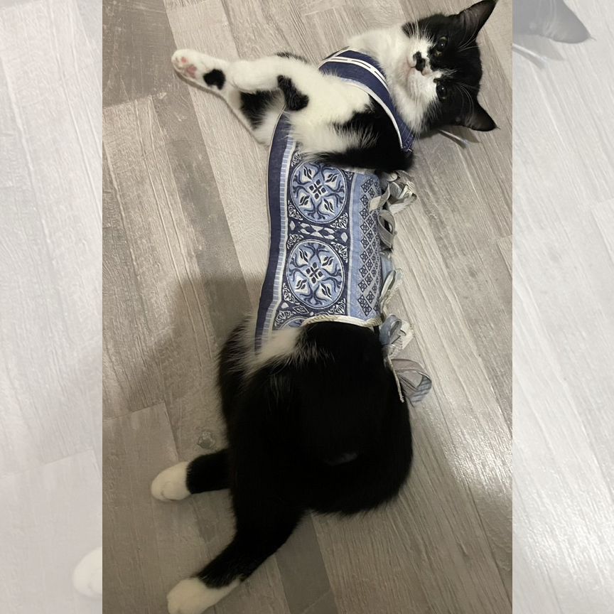 Куколка