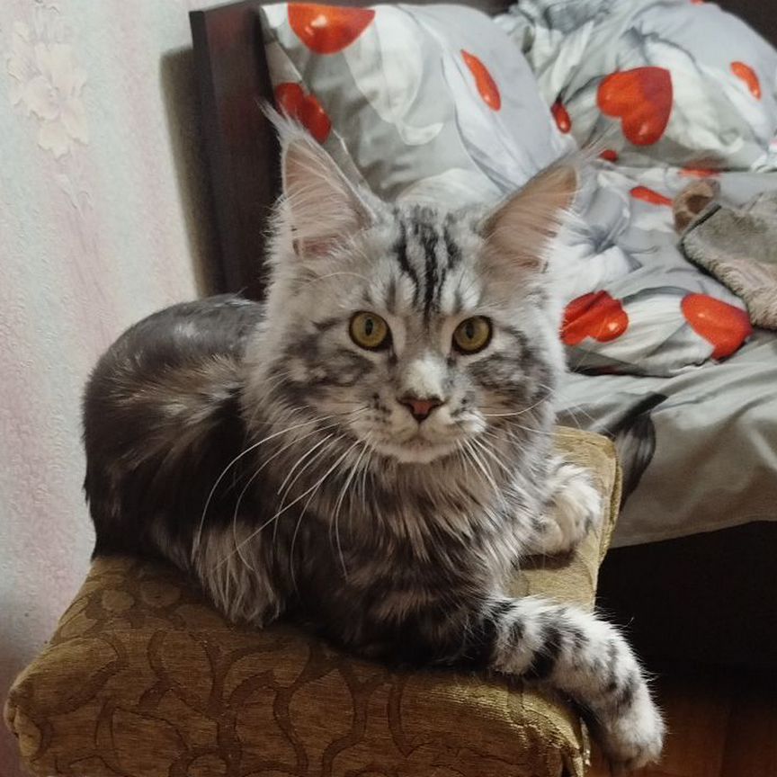 Вязка
