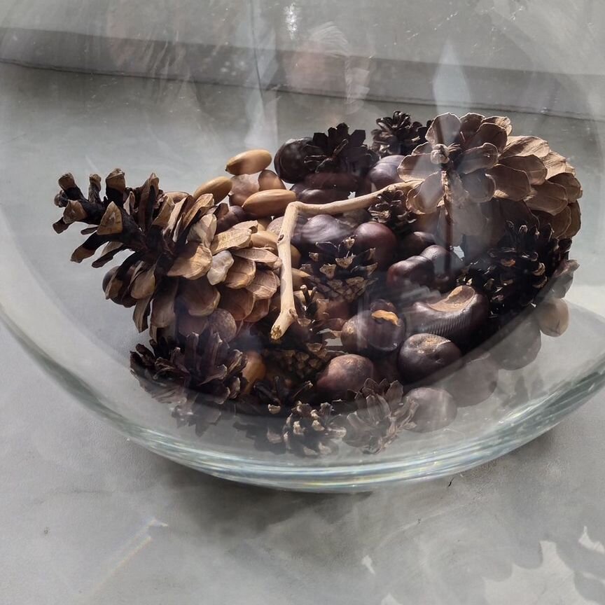 Круглый аквариум — 12 литров