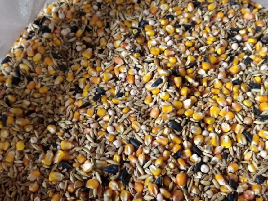 Зерносмесь для кроликов