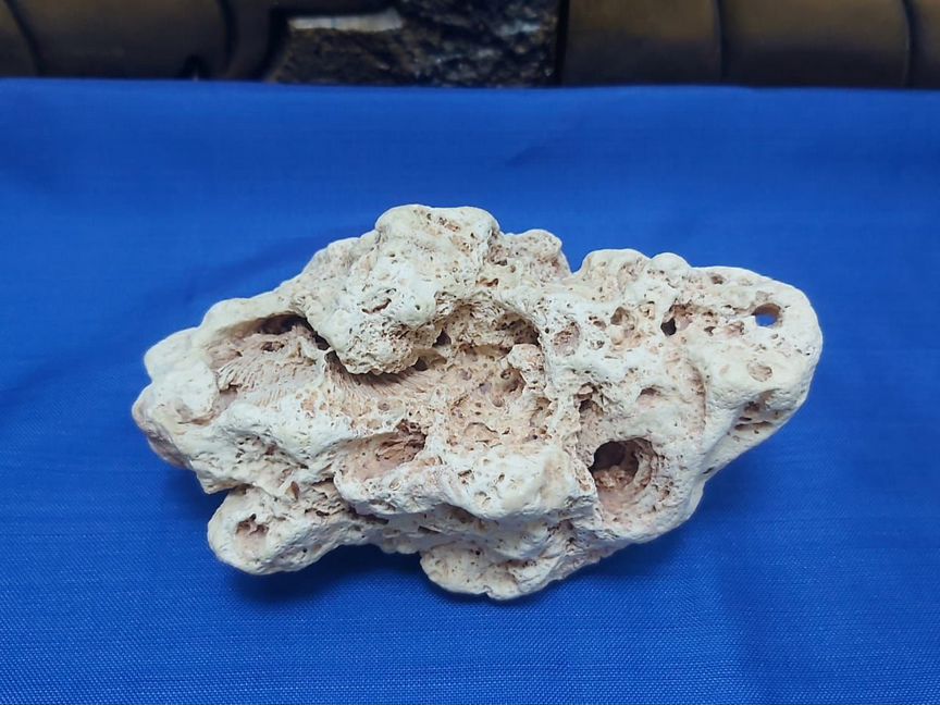 Коралл- камень из морских глубин (розовый)
