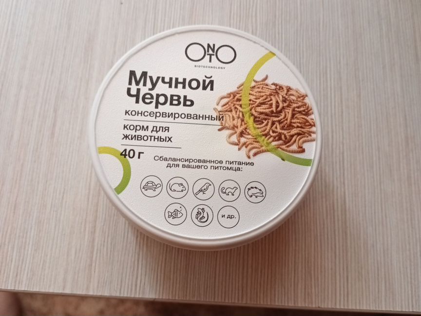 Мучной червь