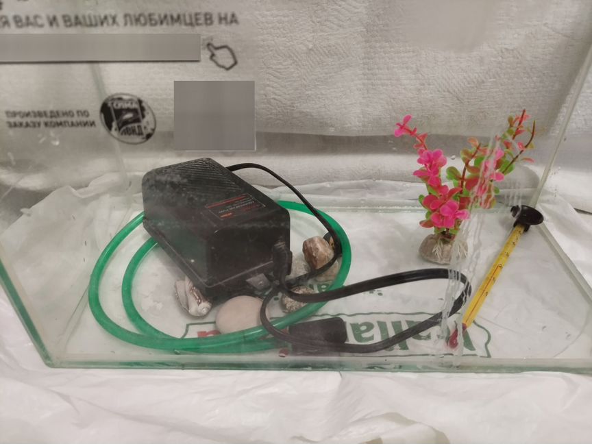 Аквариум 5 литров