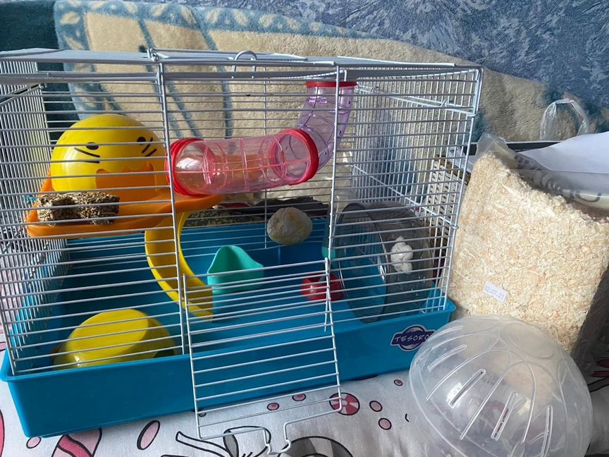 Клетка для хомяка