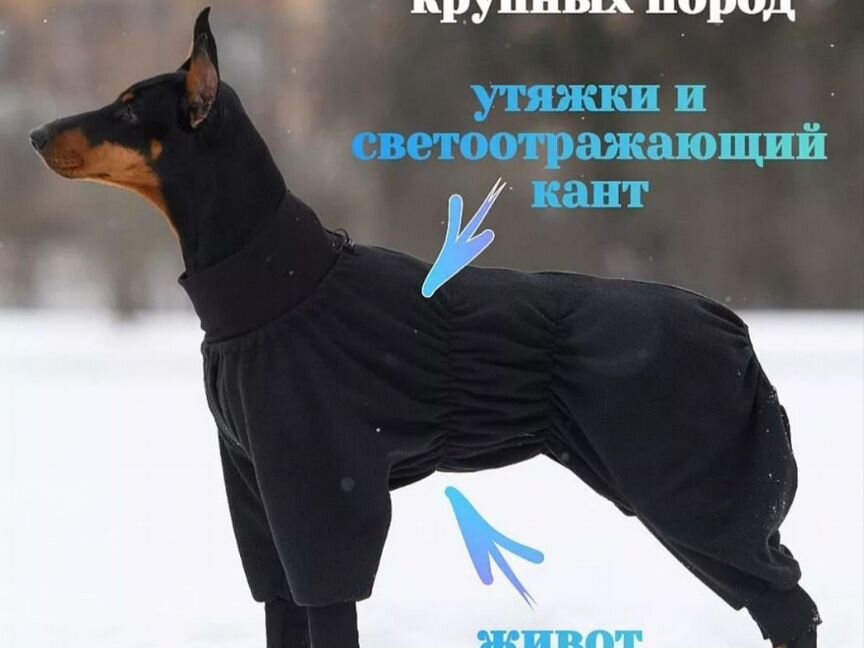 Комбинезон зима и жилет+ лапомойка в подарок