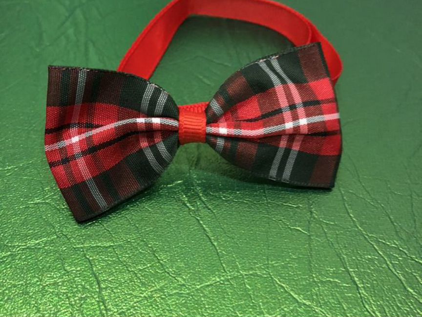 Бабочка для собак, кошек