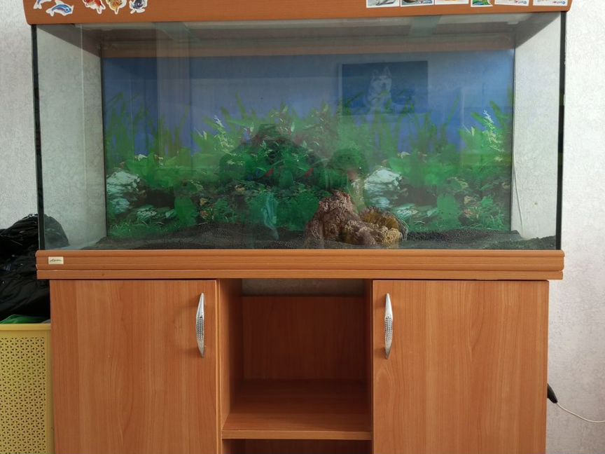 Аквариум aquatech 100литров