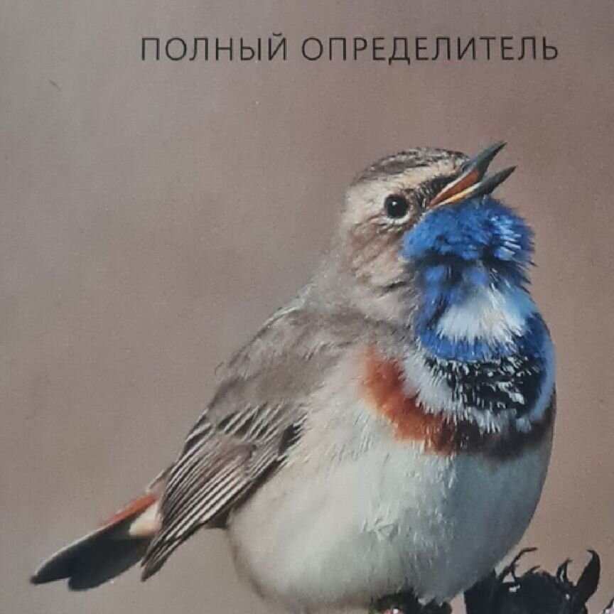 Птицы Москвы и Подмосковья