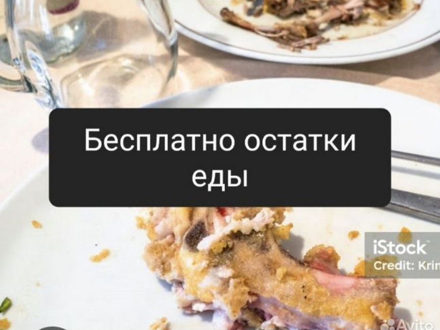 Приму корма, остатки еды для собак