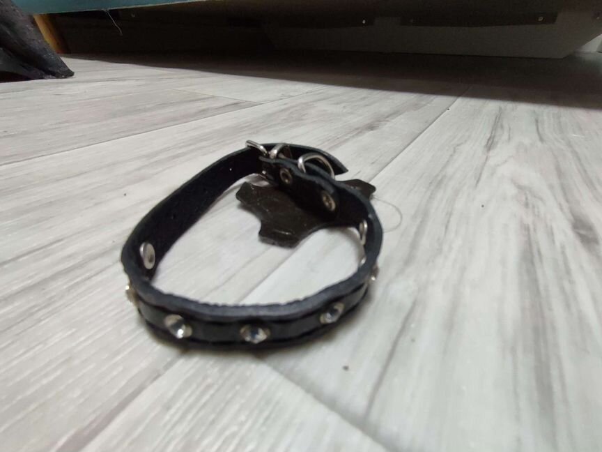 Ошейник кожаный для кошки или маленькой собачки