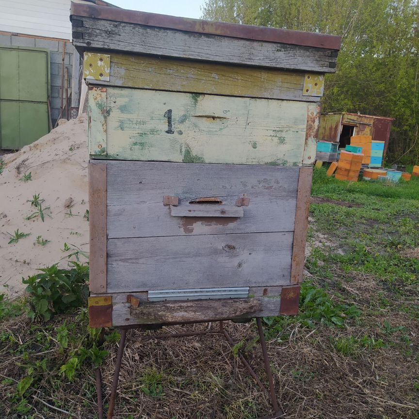 Улей для пчел бу