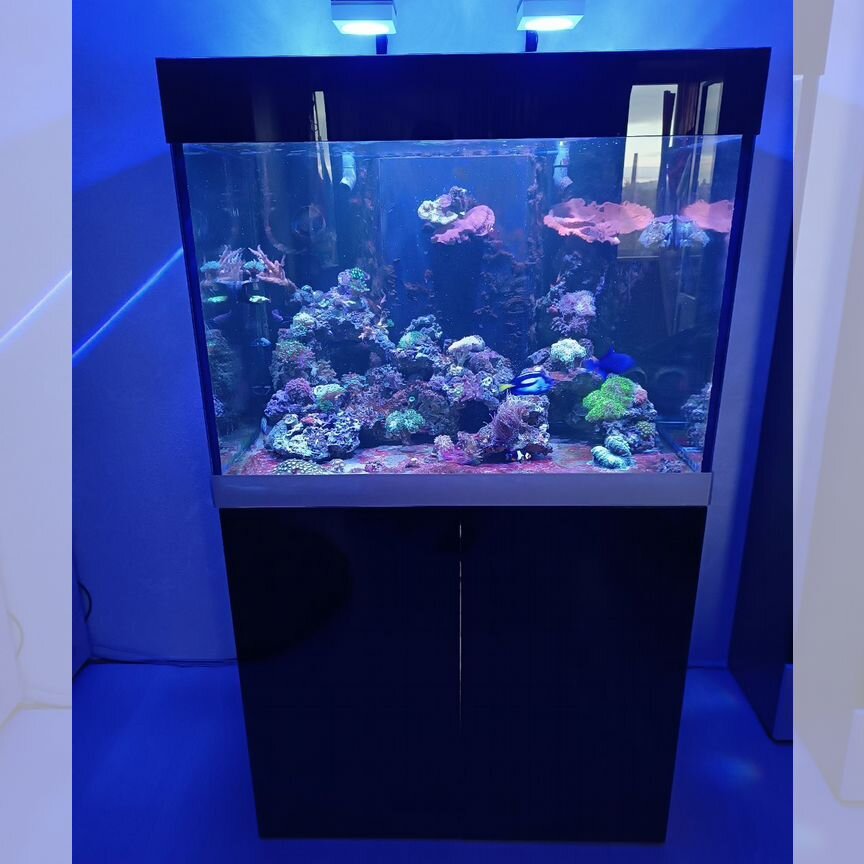 Морской аквариум 500 литров