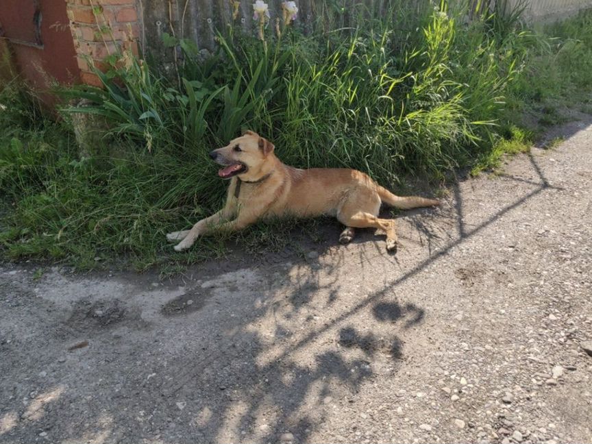 Гром верит людям