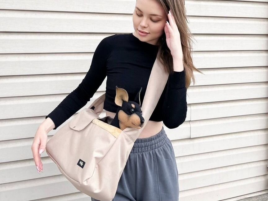 Аренда. Сумка переноска для собак