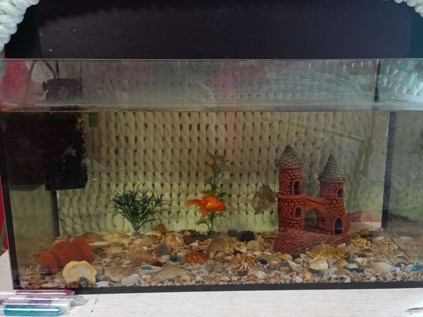 Аквариумные рыбки и аквариуи