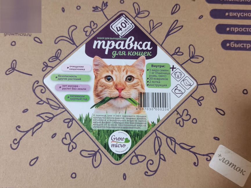 Трава для кошек