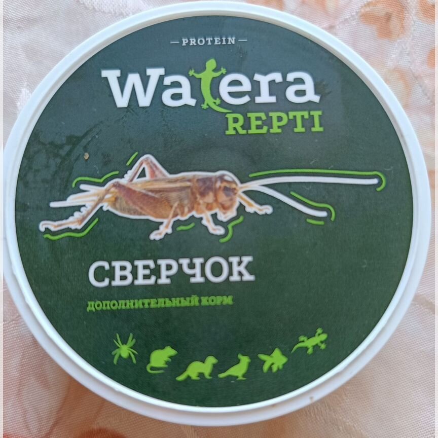 Сверчок консервированный