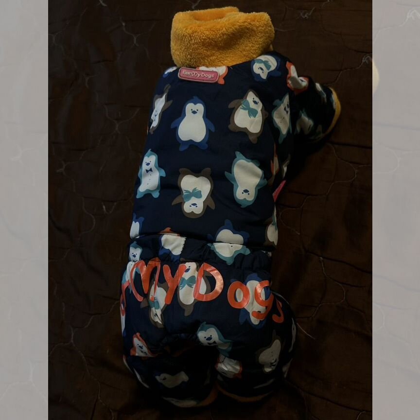 Костюм для собаки