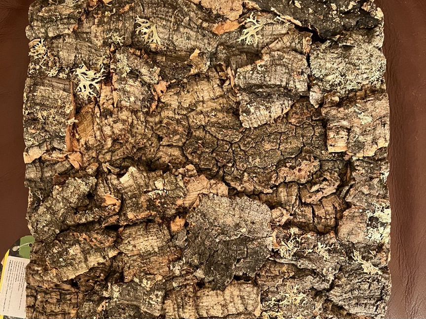 Фон для террариума