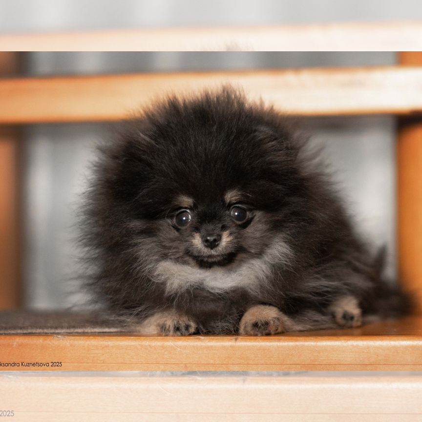 Маленькая кнопочка