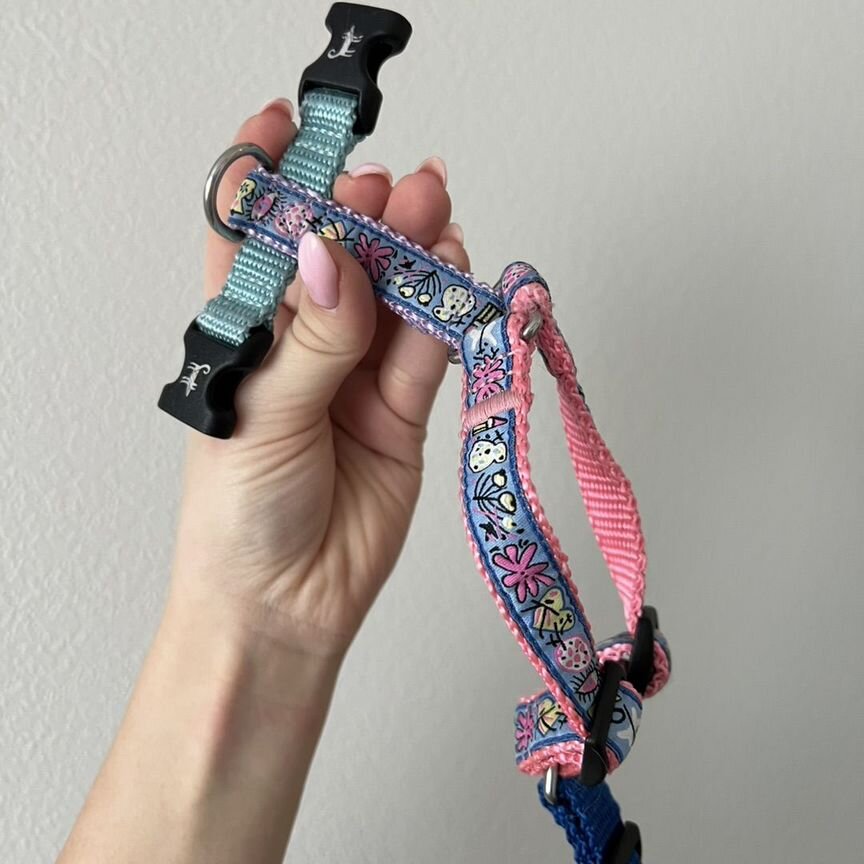 Шлейка Шарик xxxs