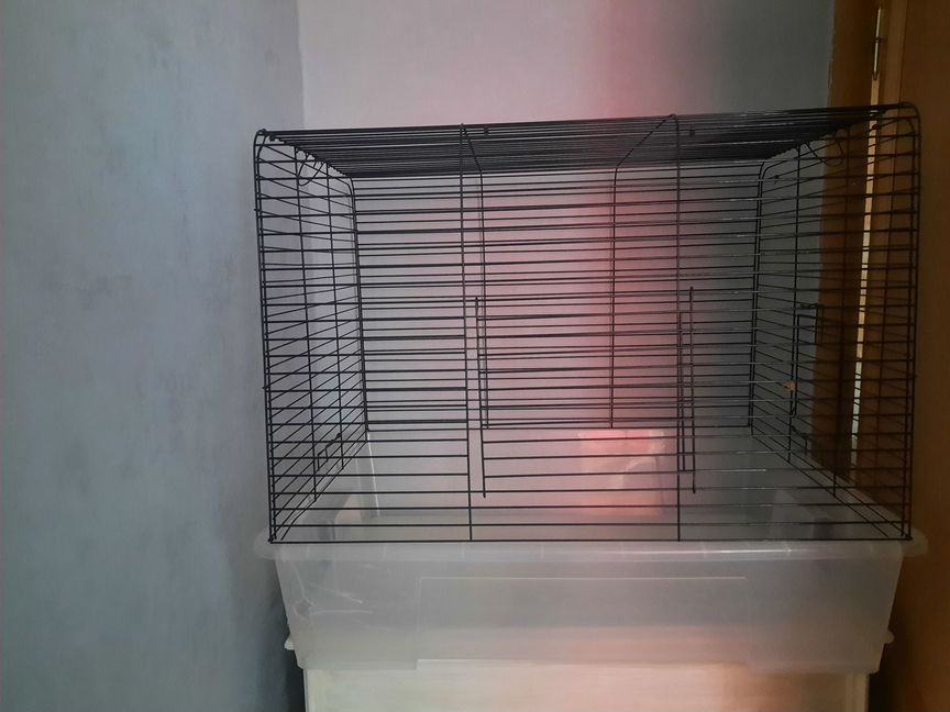 Клетка для грызунов бу