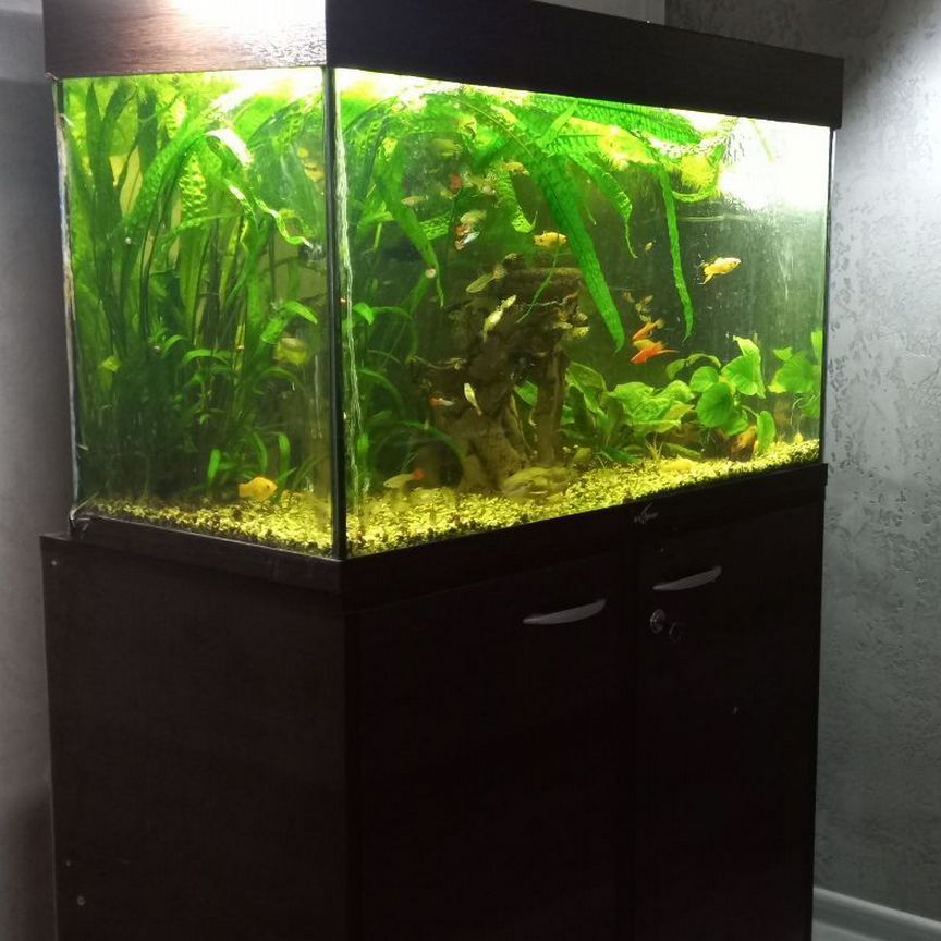 Аквариум с тумбой 120литров