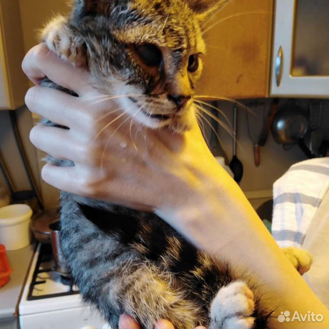 Помогите пожалуйста собрать на лечение