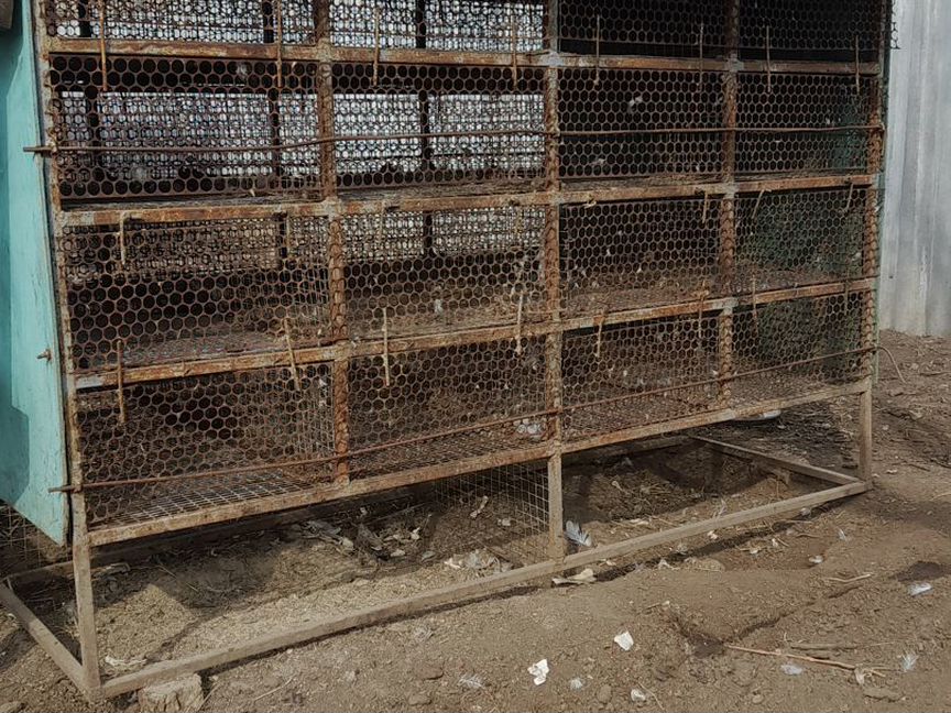 Продам клетку для перевозки кур и прицеп под неё