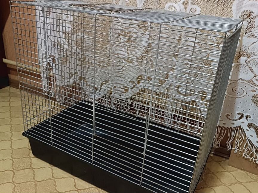 Клетка для грызунов бу большая