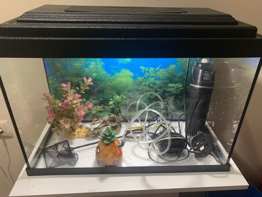 Аквариум 50л