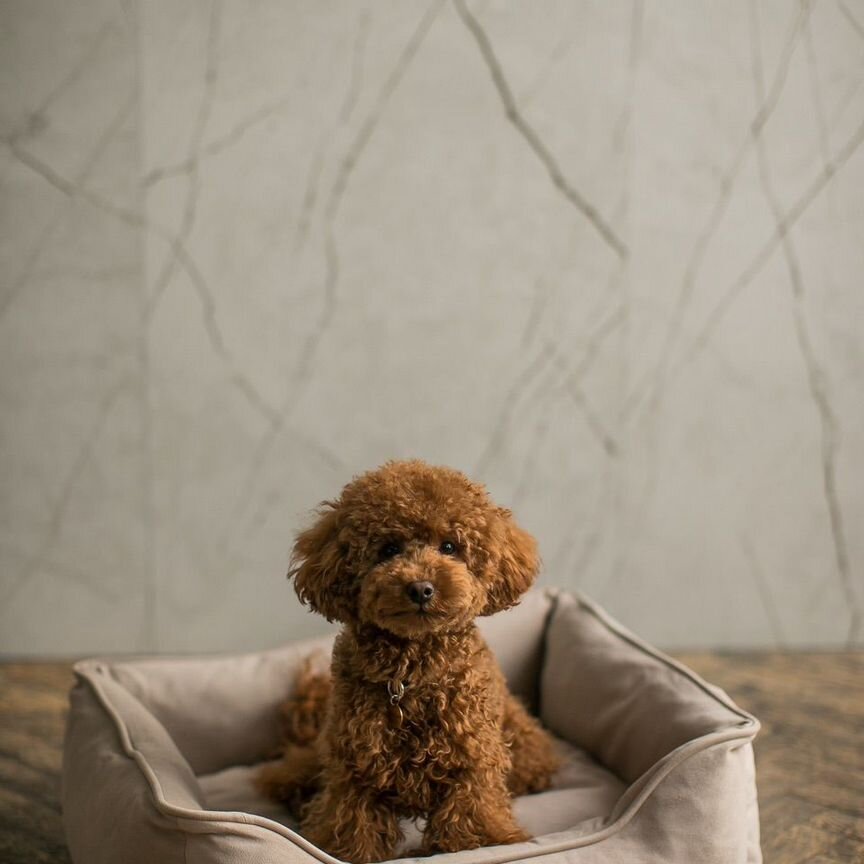 Лежанка чехол