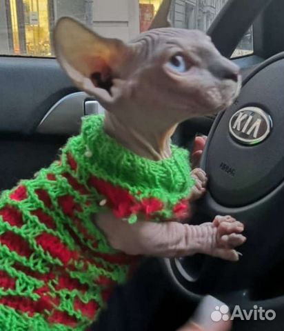 Бамбино девочка