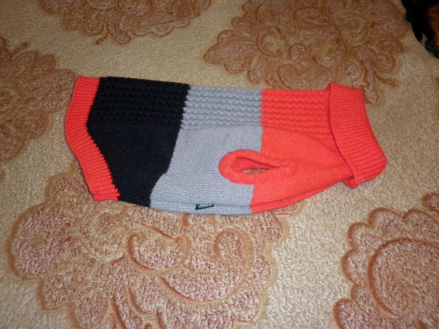 Одежда для таксы