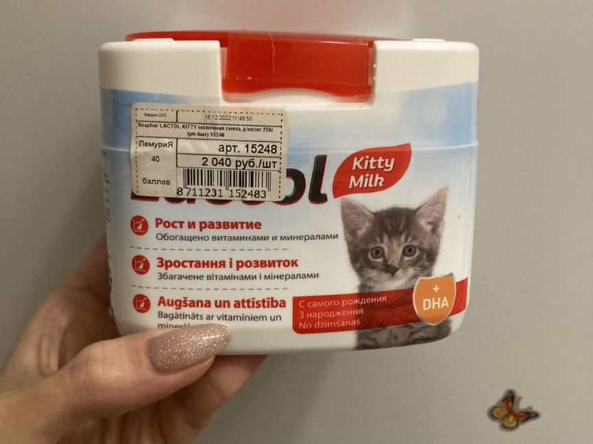 Кошачье молоко для выкармливания котят