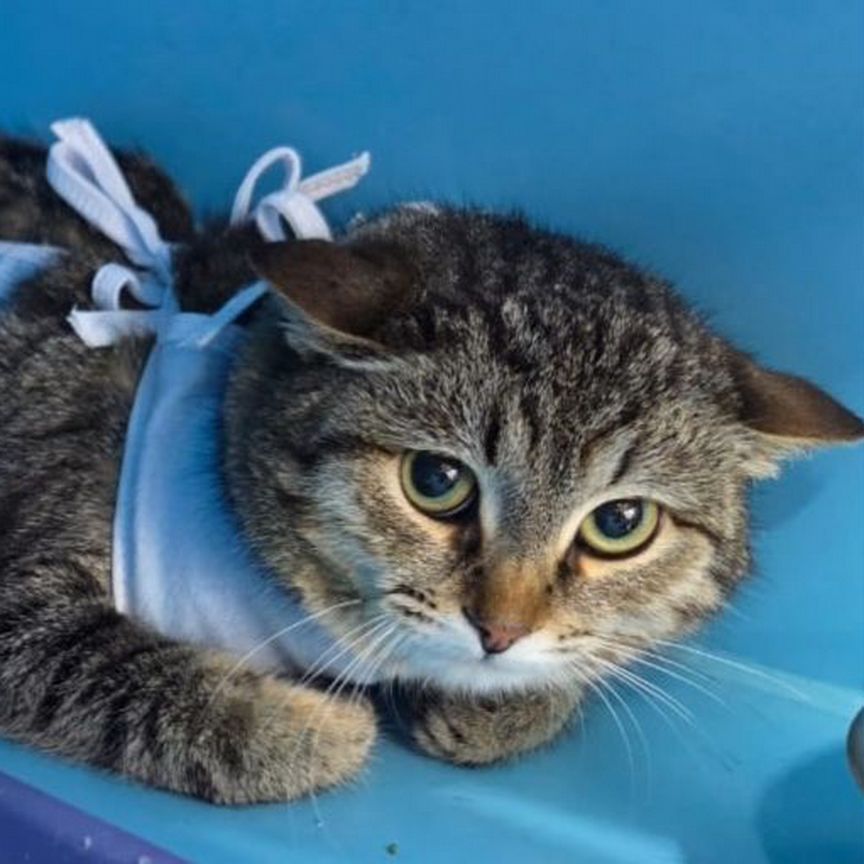 Завтра (5марта) меня выпустят на улицу