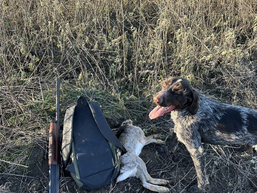 Дратхар вязка